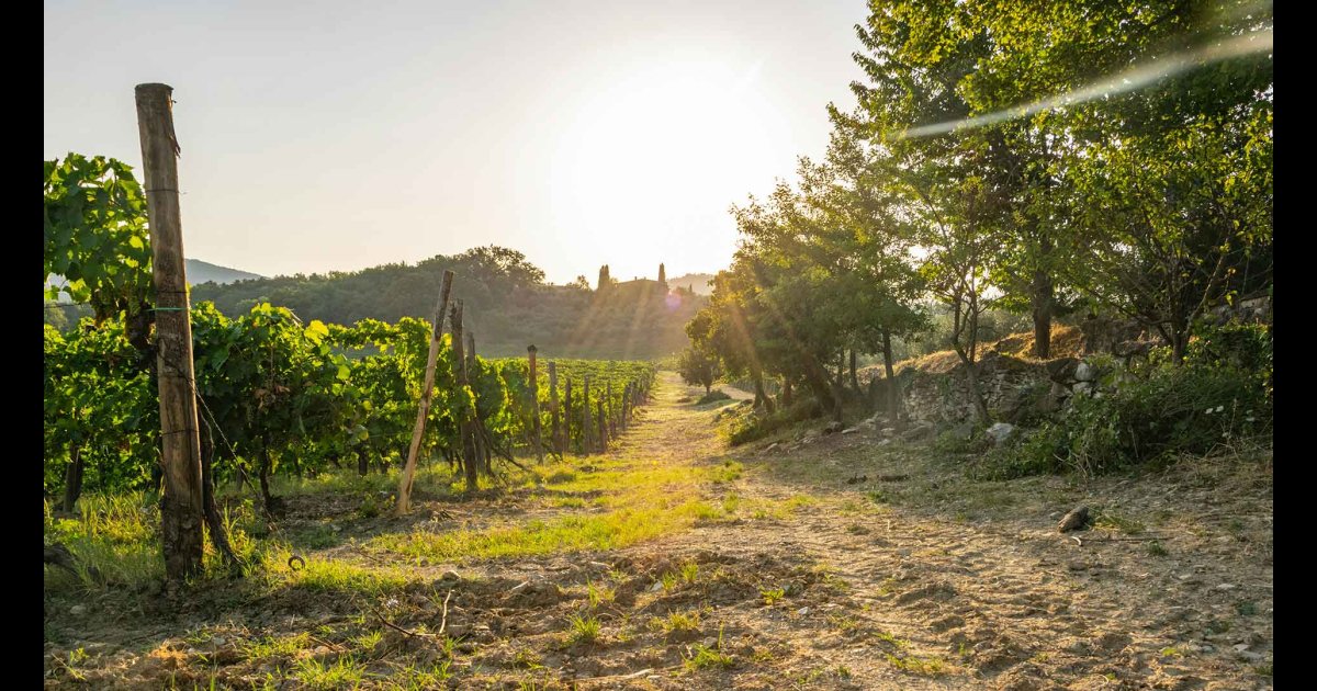 Chianti Ultra Trail by UTMB 2026 - Résultats