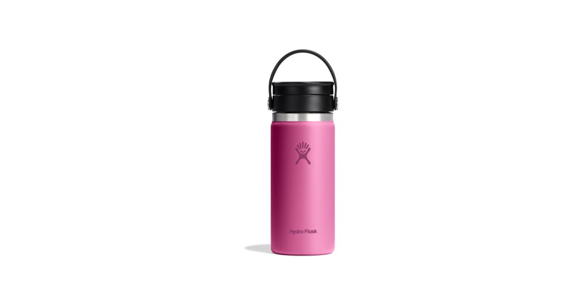 Gourde hydro-flask 16 oz wide flex sip Reef