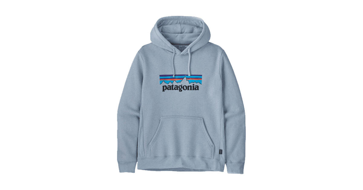 Felpa P-6 Logo Uprisal con cappuccio - Uomo Patagonia